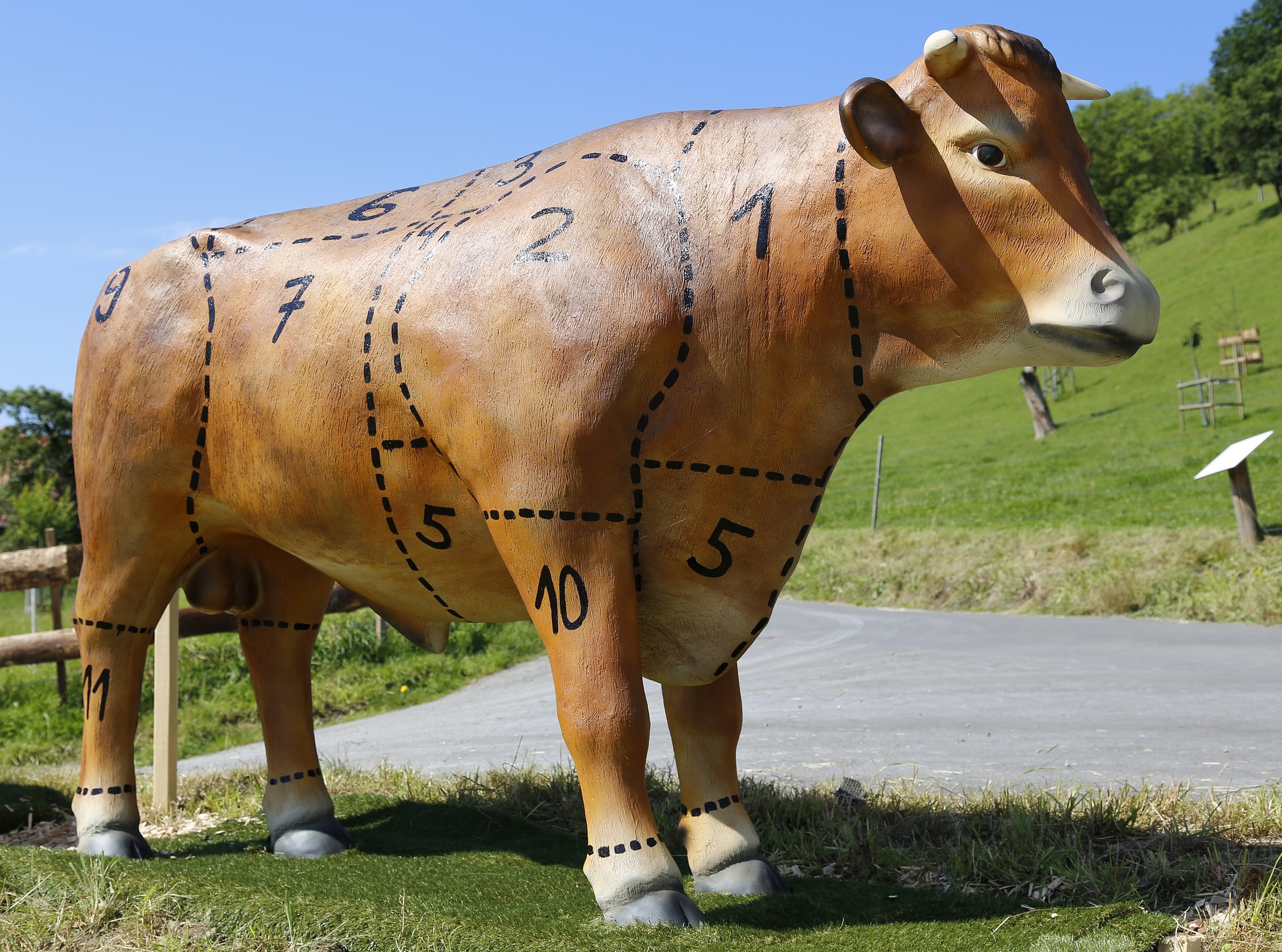 Controfiletto, costata e filetto: i tagli nobili del bovino adulto