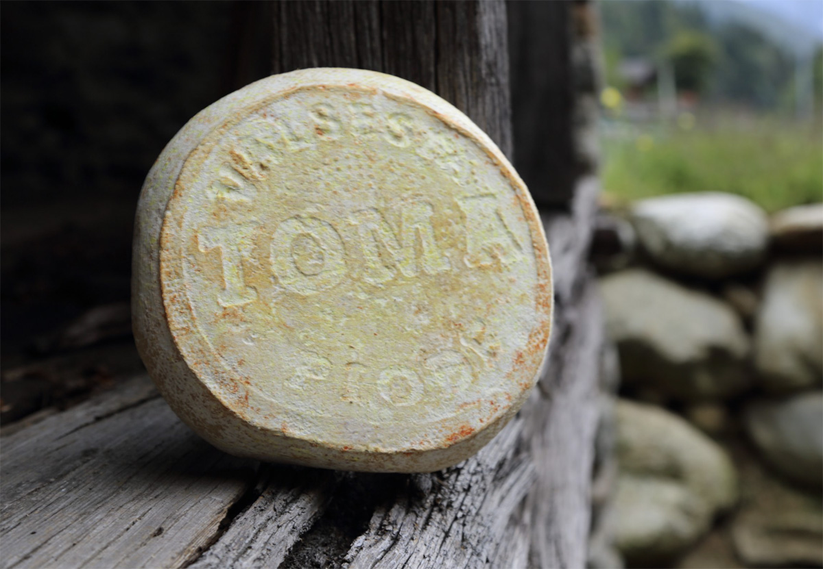 Bitto, Toma Valsesiana, Monte Veronese e altri formaggi di montagna