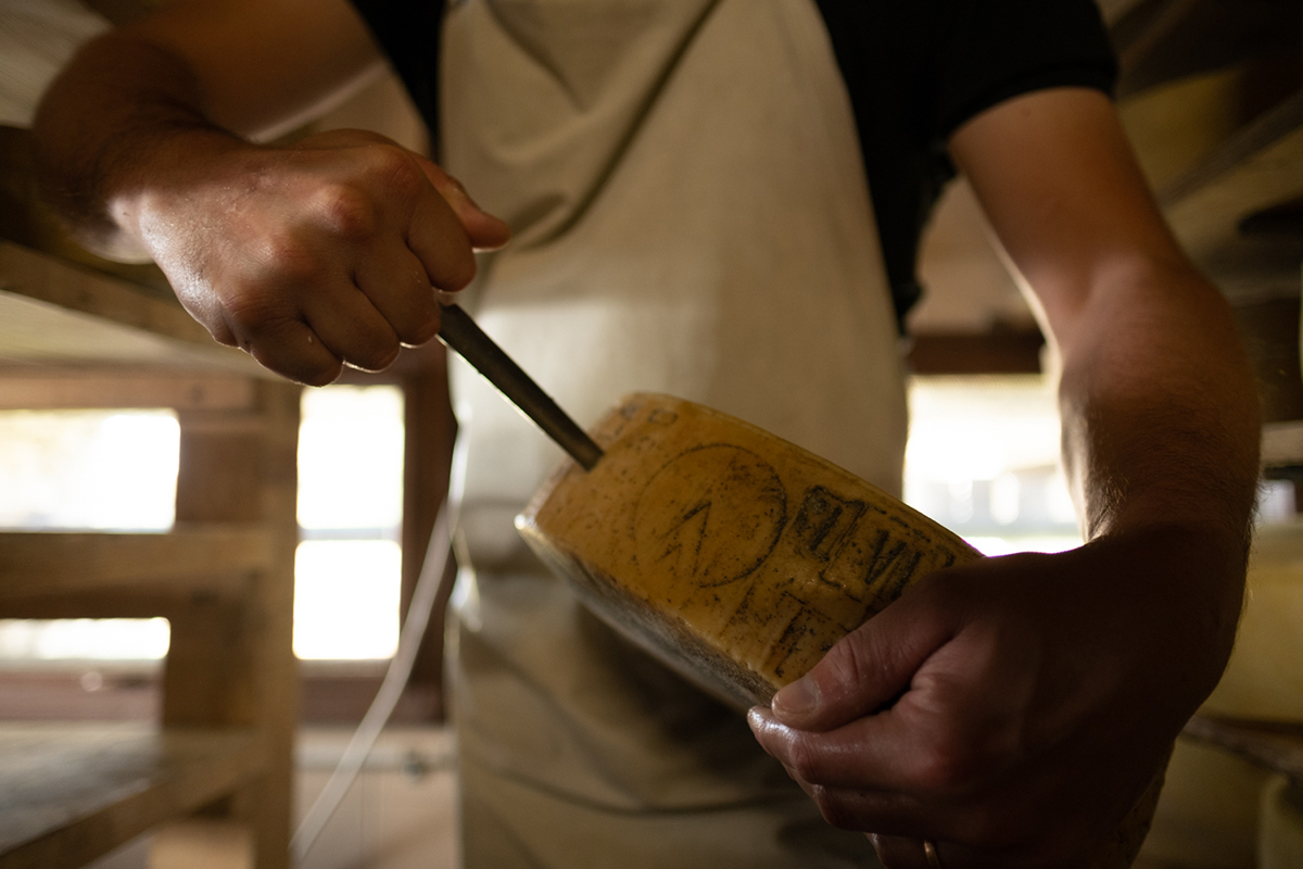 Made in Malga: tra formaggio Asiago Dop e cucina JRE Italia